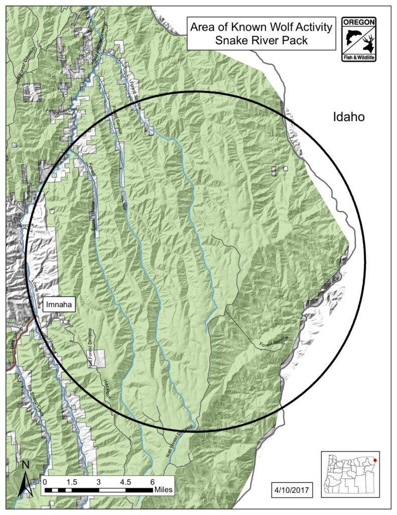 The Snake River Wolves – Pacific Wolf Coalition