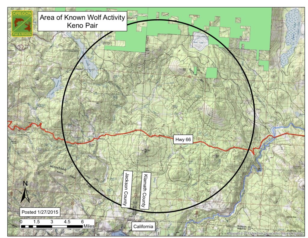 The Keno Wolves – Pacific Wolf Coalition