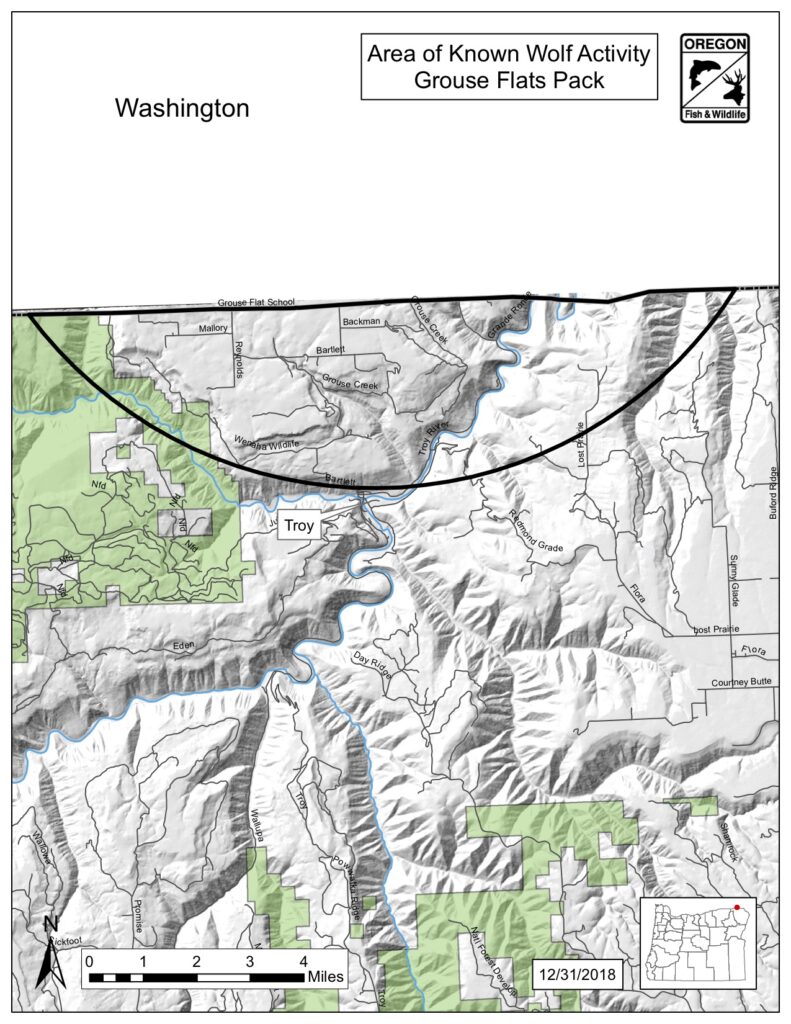 The Grouse Flats Pack – Pacific Wolf Coalition