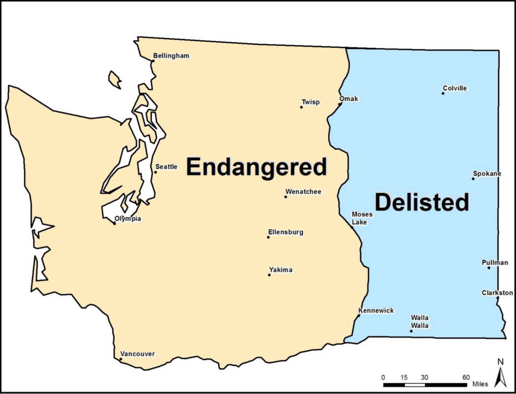 Washington Wolves – Pacific Wolf Coalition