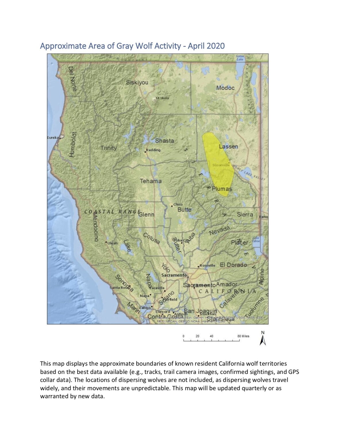 California Wolves – Pacific Wolf Coalition