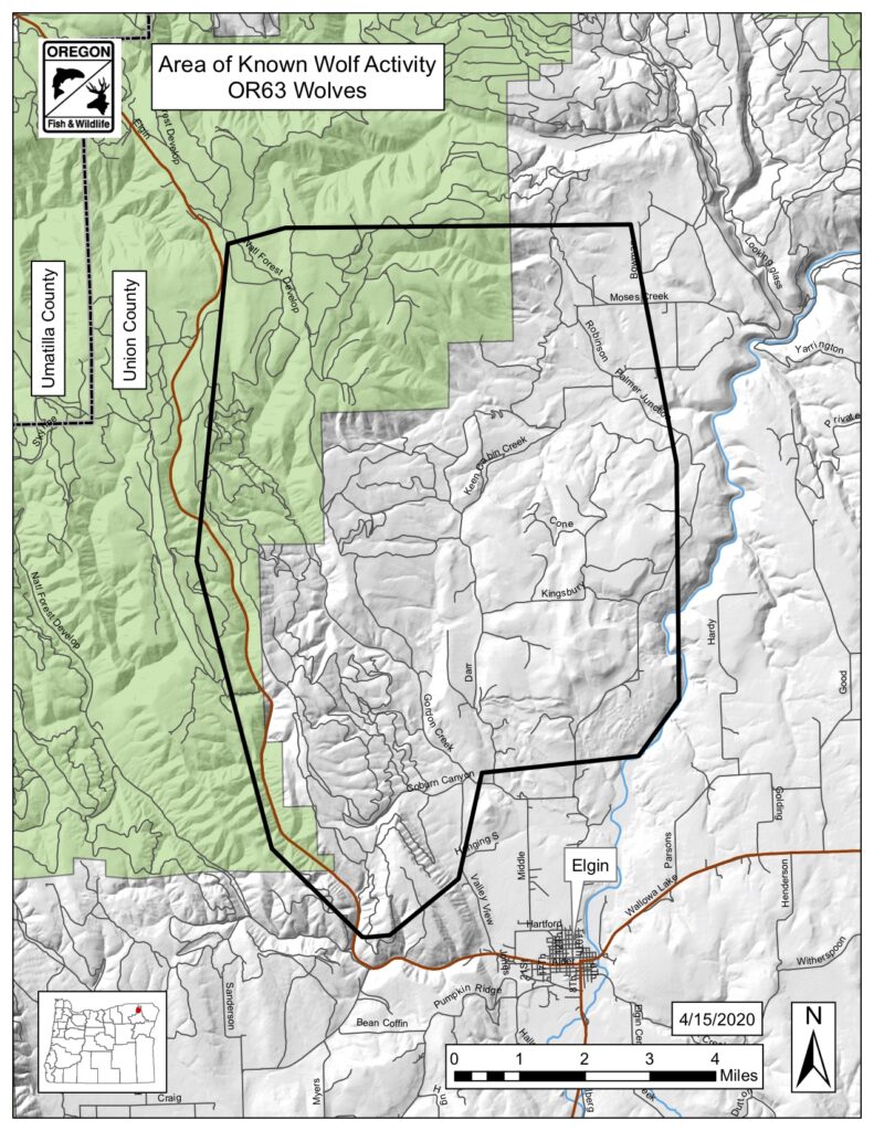 The OR63 Wolves – Pacific Wolf Coalition