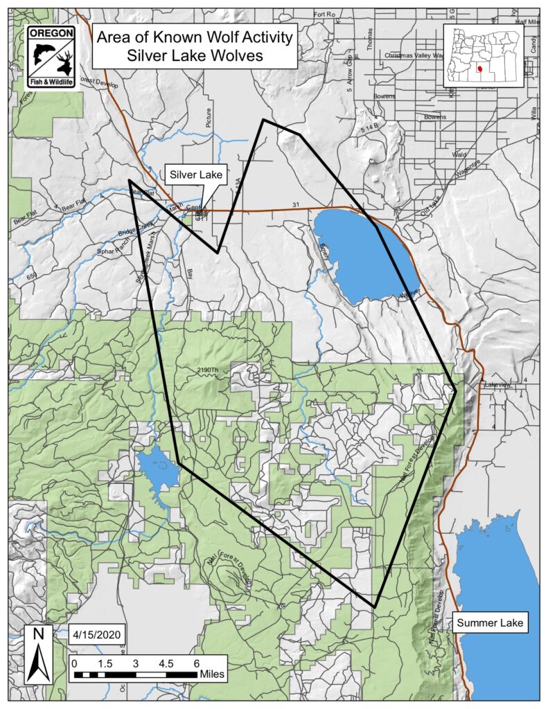 The Silver Lake Wolves – Pacific Wolf Coalition