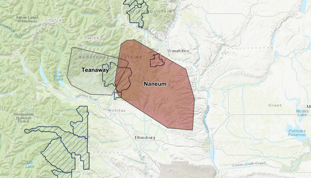 The Naneum Pack – Pacific Wolf Coalition