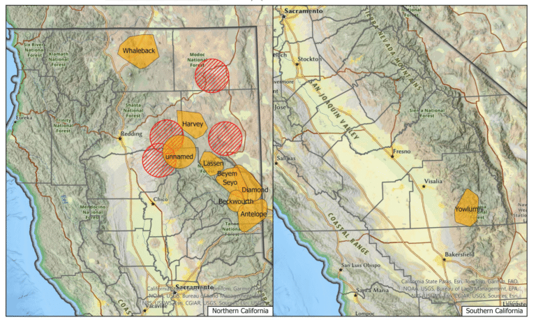 California Wolves – Pacific Wolf Coalition