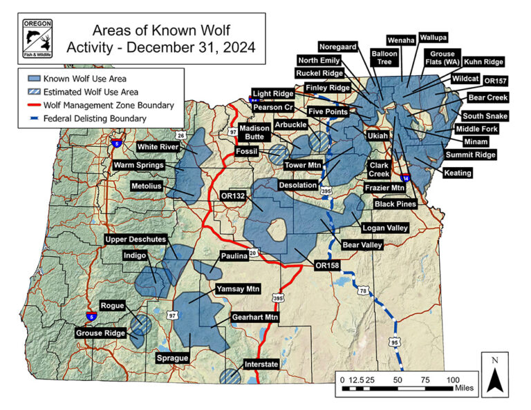 Oregon Wolves – Pacific Wolf Coalition